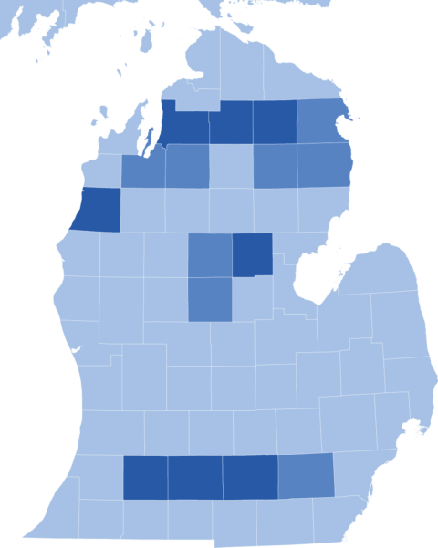 Michigan Mineral Rights - Blue Mesa Minerals